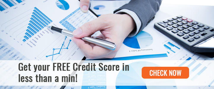 Credit Information Report - Information, Format and Advantages of CIR