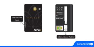RuPay Debit Cards: Types, Eligibility, How to Apply, Features & Benefits
