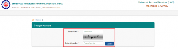 UAN Mobile Linking: How to Register/Change Mobile Number in EPF Account