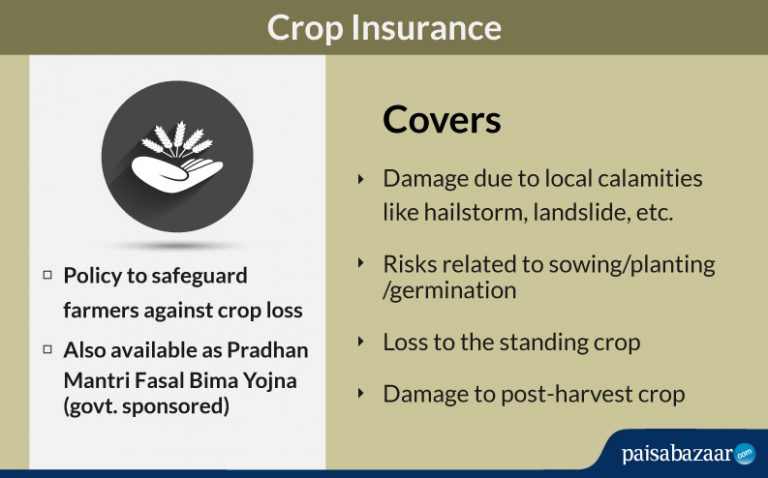 Crop Insurance: Coverage, Claim & Renewal
