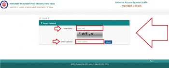 UAN Password : Know How to Reset Password Online - Paisabazaar.com
