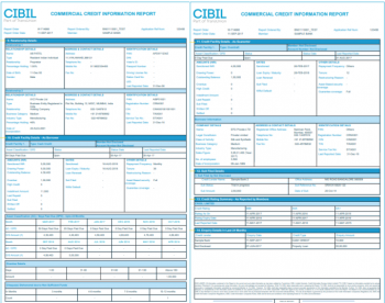 CIBIL Commercial Report: CIBIL for Companies & CIBIL Rank