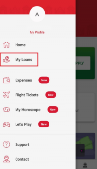 Home Credit Personal Loan Status: Track Application & Check Active Loan ...