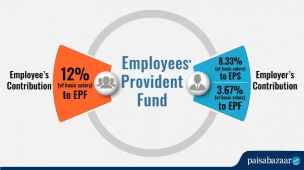 EPF Interest Rate 2024-25 - How to Calculate Interest on EPF Contribution