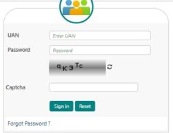 EPFO Login - Register on EPF Member Portal, Reset/Change Password